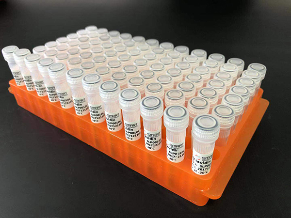 Prescission Protease-10mg - 广州方源生物科技有限公司官网,BIO-RAD代理,伯乐试剂订购,试剂耗材,仪器,技术 ...