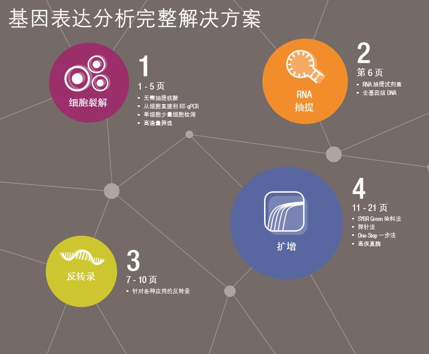 广州方源生物科技有限公司官网,BIO-RAD代理,伯乐试剂订购,试剂耗材,仪器,技术服务,QPCR,蛋白纯化,ELISA,IP,co-ip ...