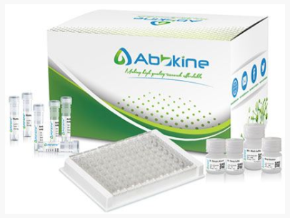 EliKine™ Human IL-8 ELISA Kit - 广州方源生物科技有限公司官网,BIO-RAD代理,伯乐试剂订购,试剂耗材,仪器 ...