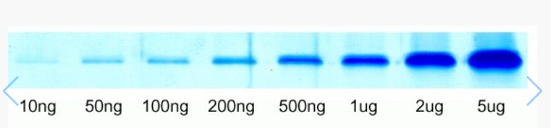 Protein Gel Flash Staining Kit - 广州方源生物科技有限公司官网,BIO-RAD代理,伯乐试剂订购,试剂耗材 ...